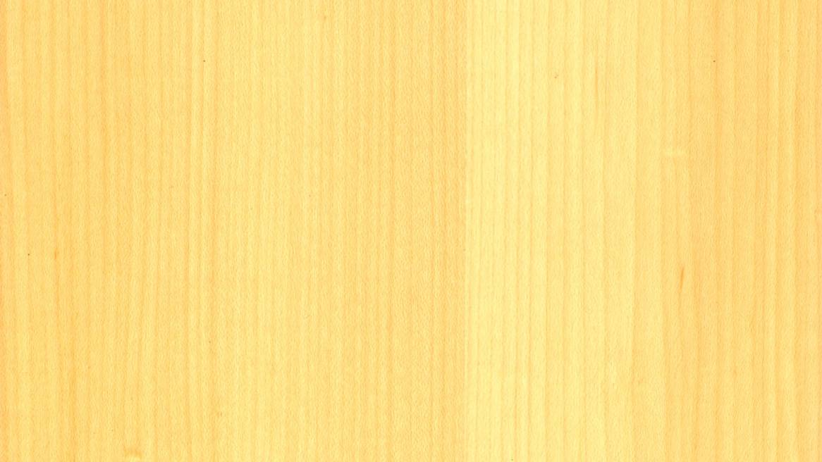 Clear Maple - Steelcase