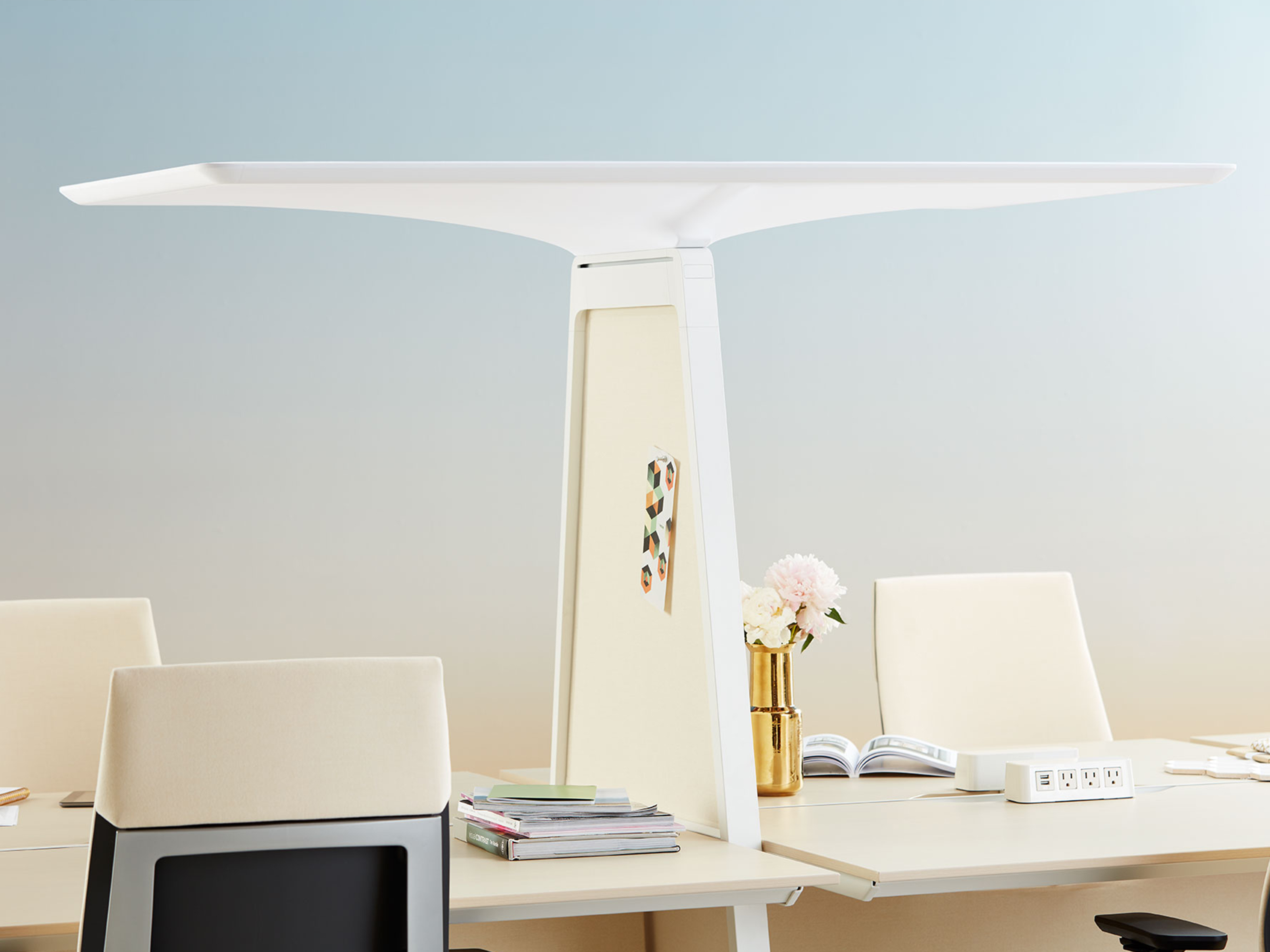 Hon -BIVI Desk - Scott Rice