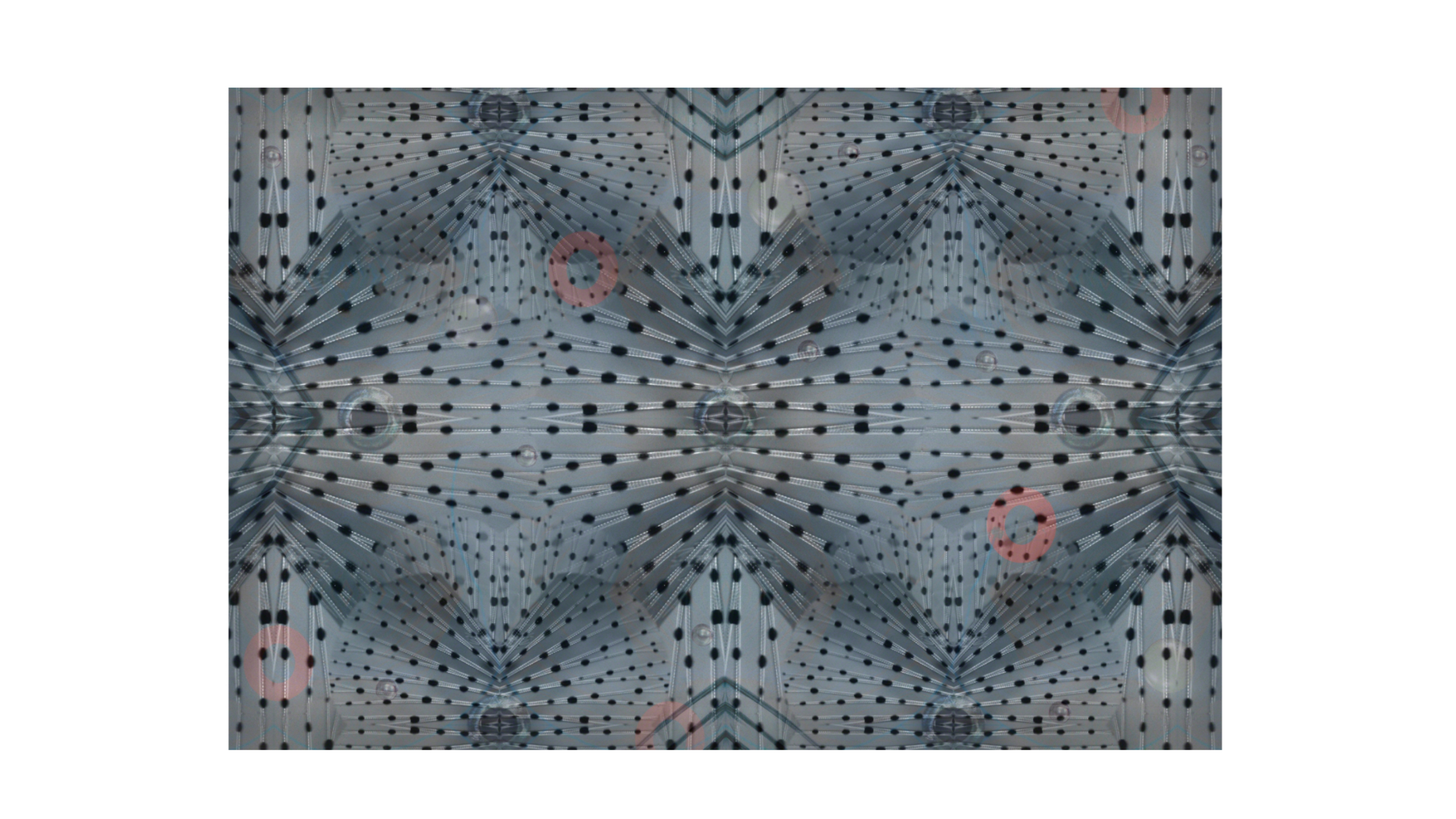 Flying Coral Fish Carpet by Moooi | Steelcase
