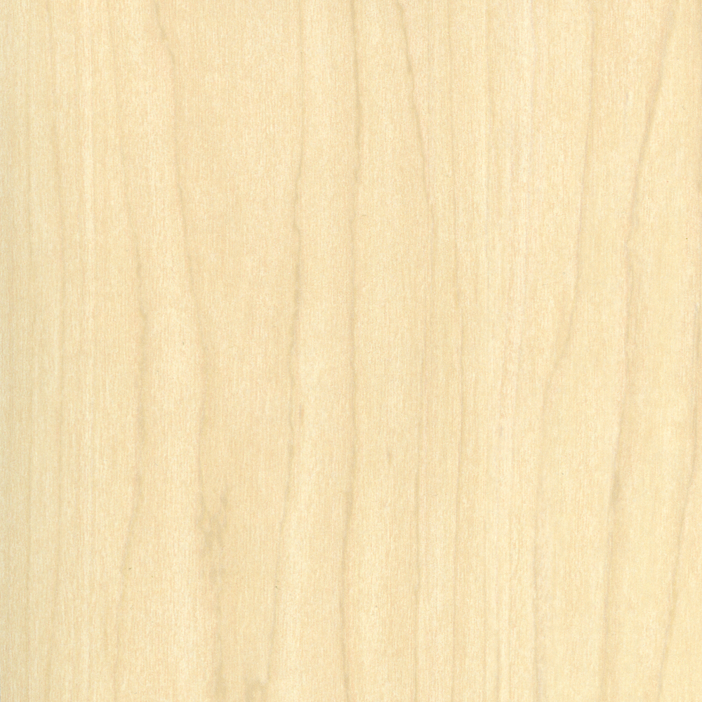 Winter on Maple - Steelcase