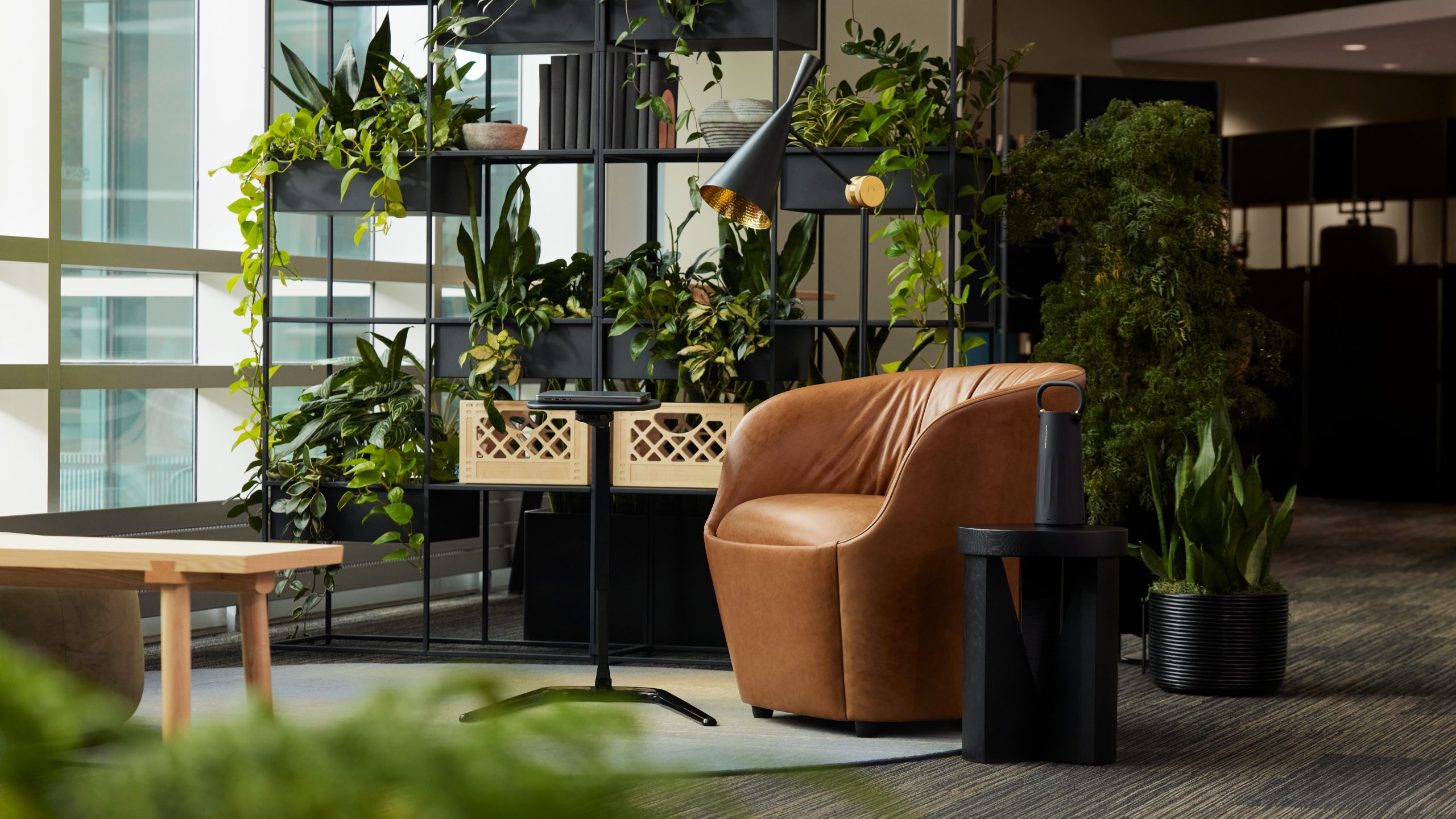 West Elm Work Willow Lounge - Steelcase